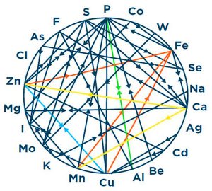 Natural Mineral Range - TBA Ltd - Trevor Birchall Agriculture